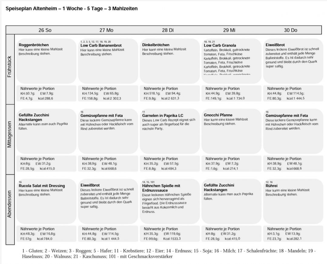 Speiseplan Altenheim Vorlage
